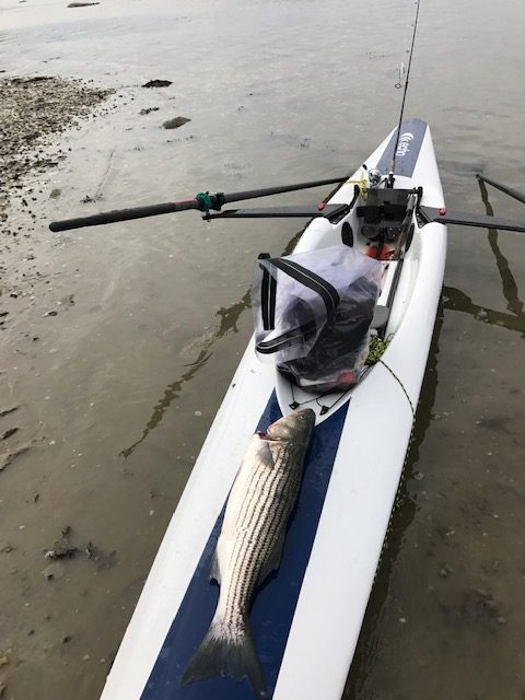 Echo Sport - Adirondack Rowing